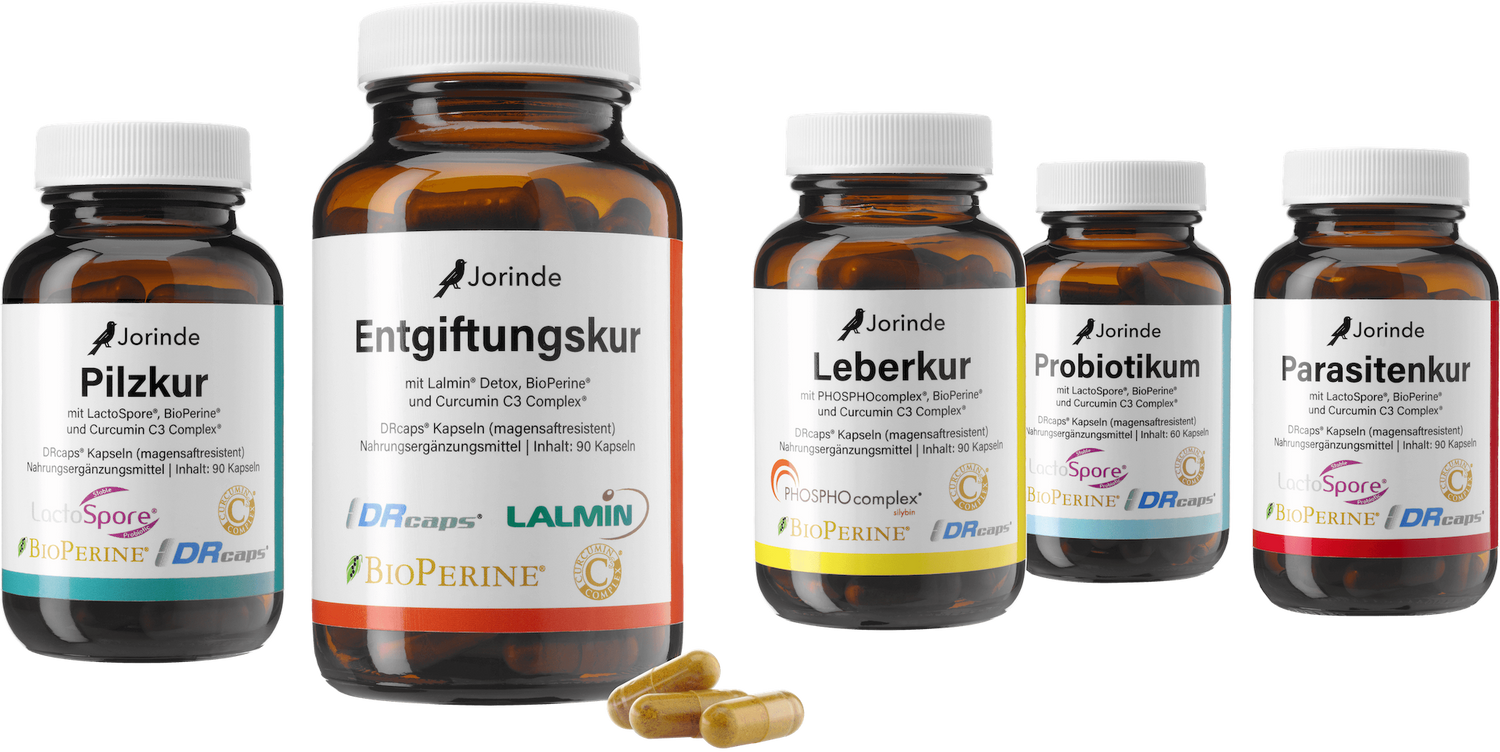 Wissen - Entgiftung, Darmsanierung, Säure-Base, Schwermetallausleitung – Jorinde.Shop
